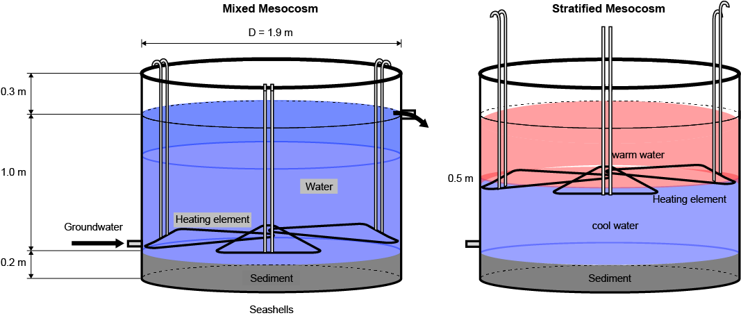 Long-term lake warming experiment meets short-term heatwave – Ponderful